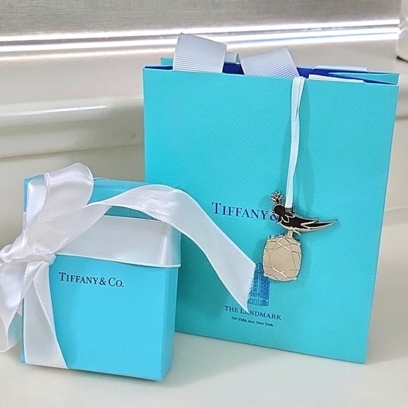 Tiffany & Co. | Accessories | Tiffany Co Blue Gift Bag Box With Rare ...